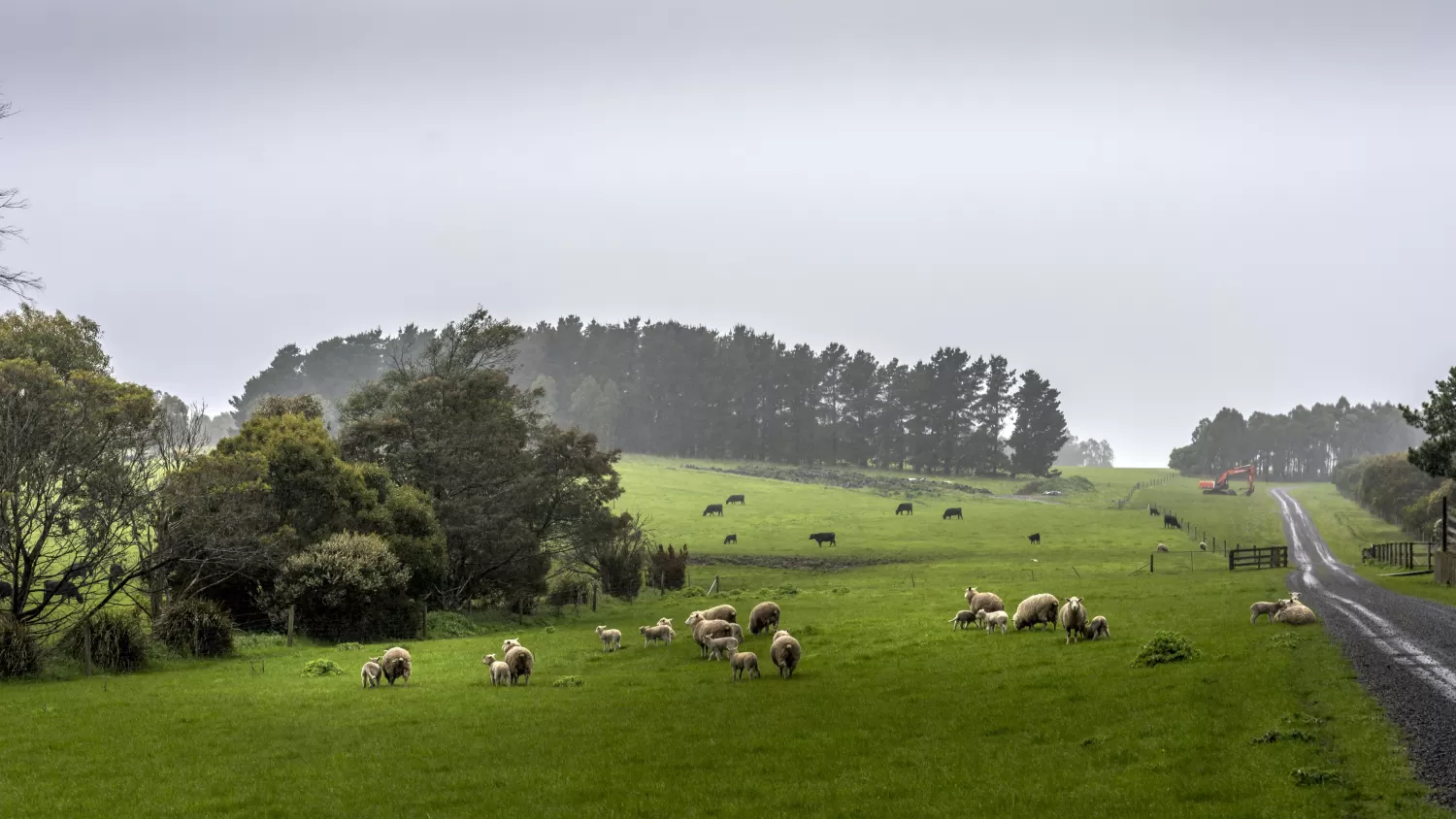 Private Forests Tasmania