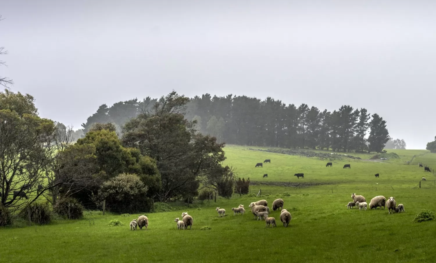 Farm & Forest Mapper