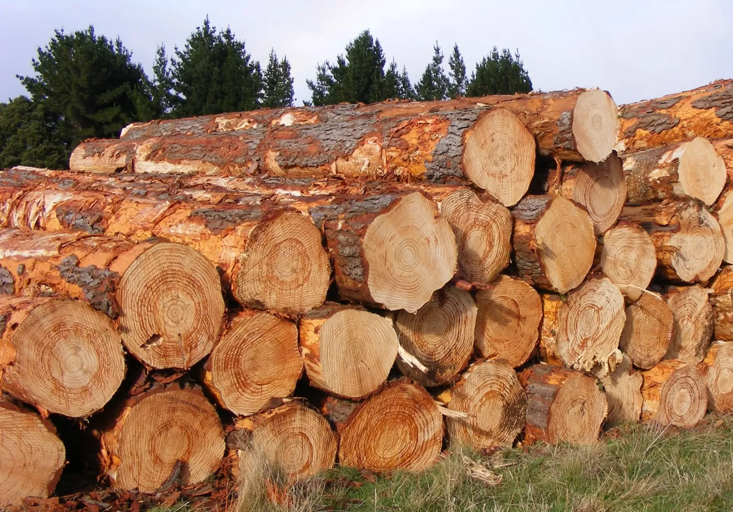 AFORA's Practical Tools